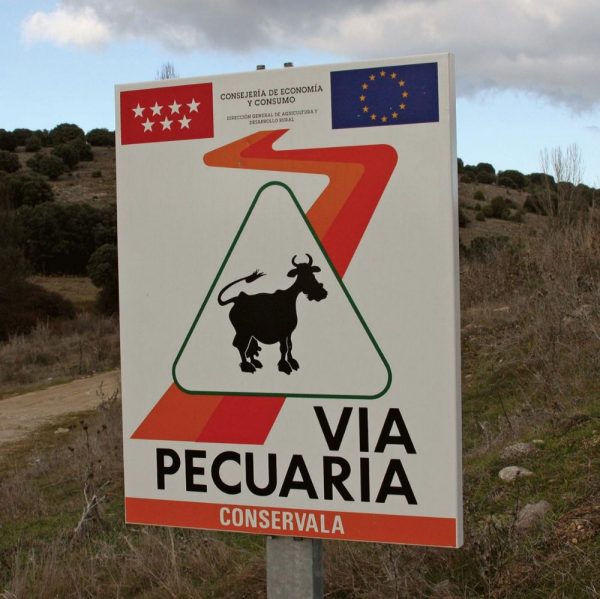 Vias Pecuarias – Ayuntamiento de Navalafuente